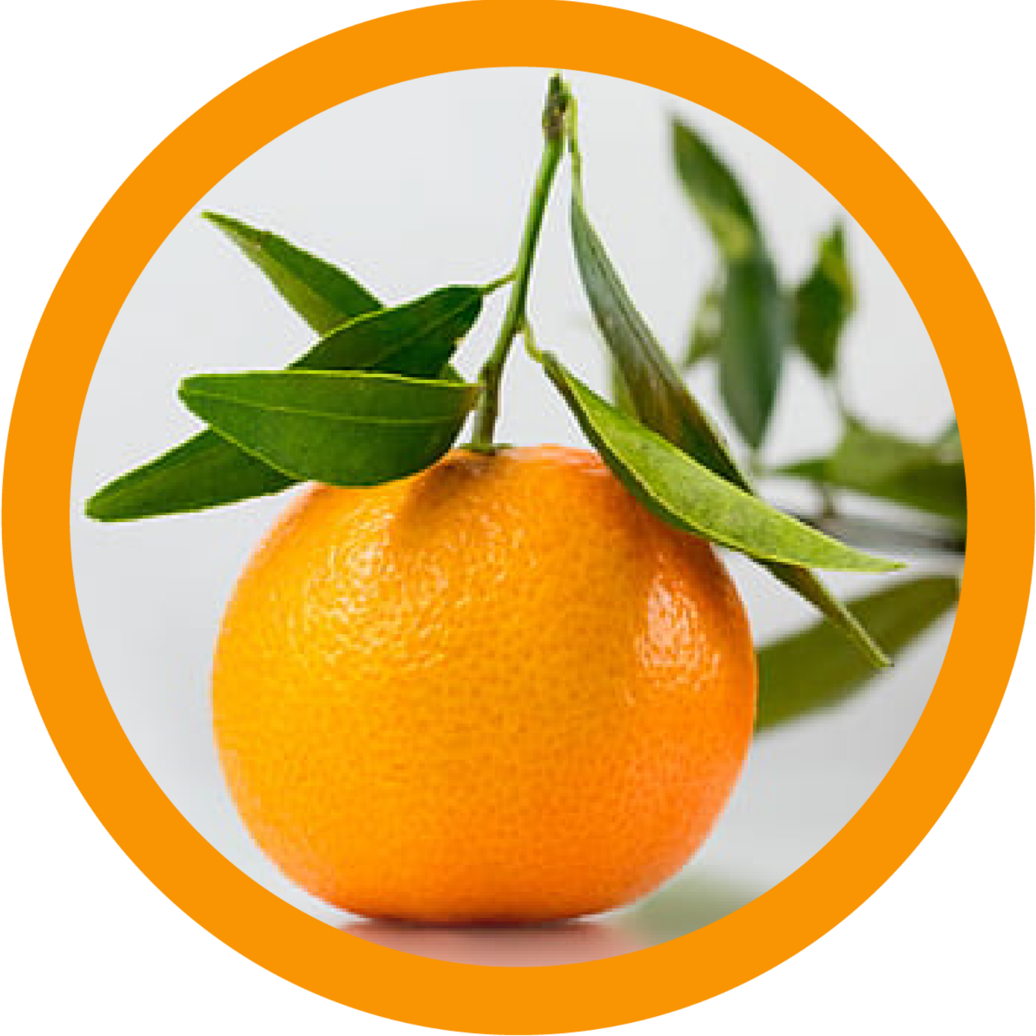 Satsuma – Pure Energy Apothecary
